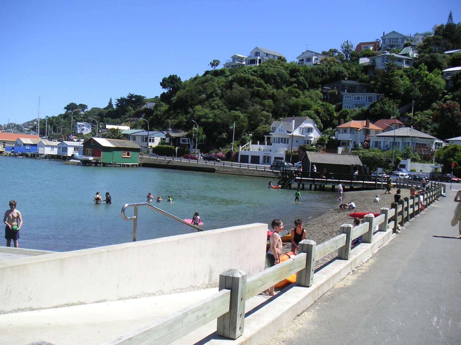 Bliss and the Retiree: Swimming today at Hataitai Beach