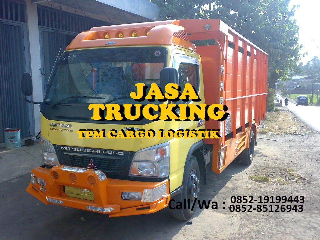 Truk CDD (Colt Diesel Double), Sewa truk jakarta, sewa truk depok - TPM ...