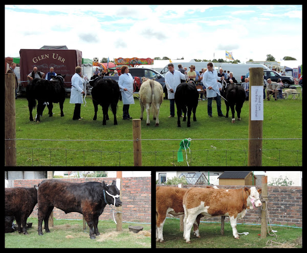 The Glebe Blog: The Stranraer Show 2013