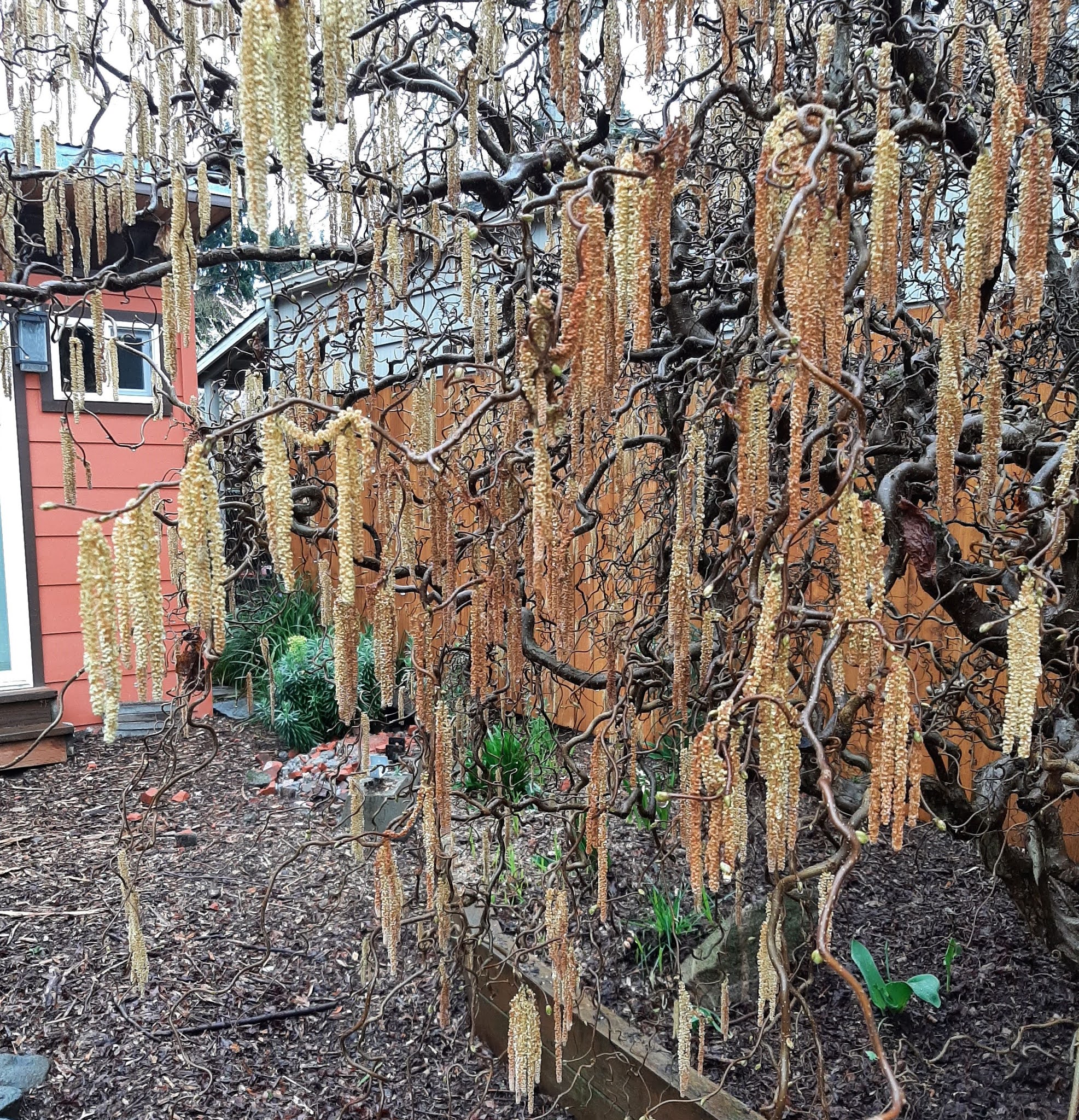 Before Enlightenment