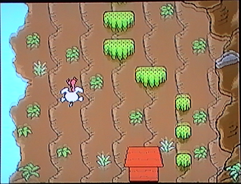 StarBlog: Snoopy Concert (SFC) Review