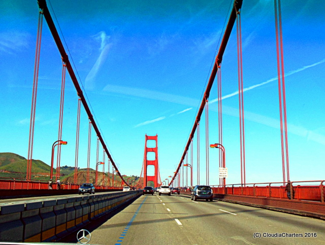 Comfort Spiral: Structure, Struts, Bars