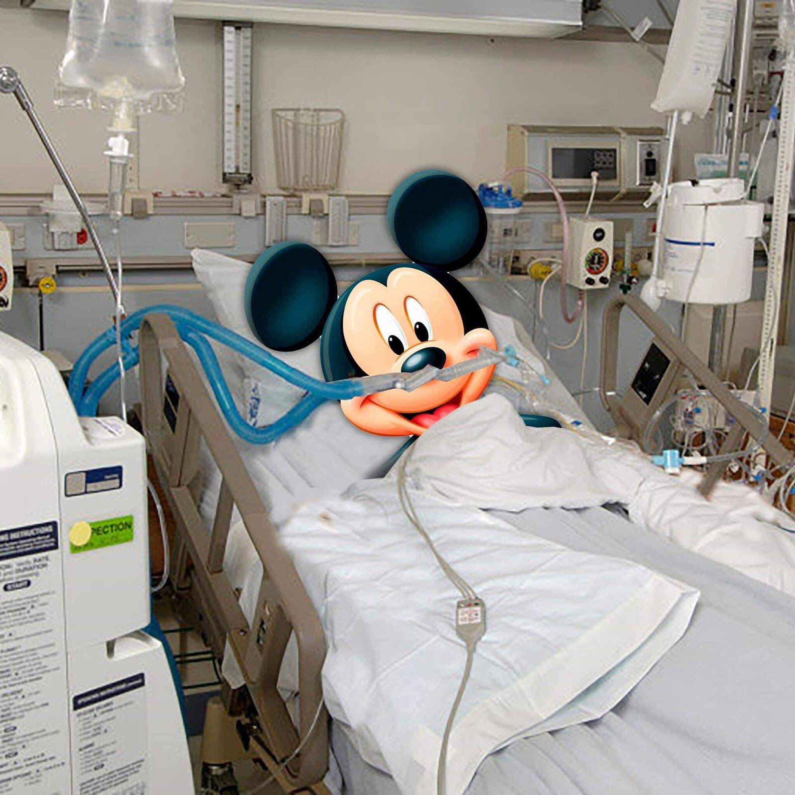 kenneth in the (212): Florida Sets Record for Single-Day Coronavirus ...