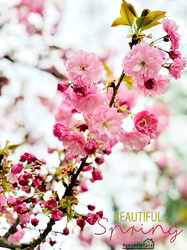 Beautiful Spring Colors - Remodelando la Casa