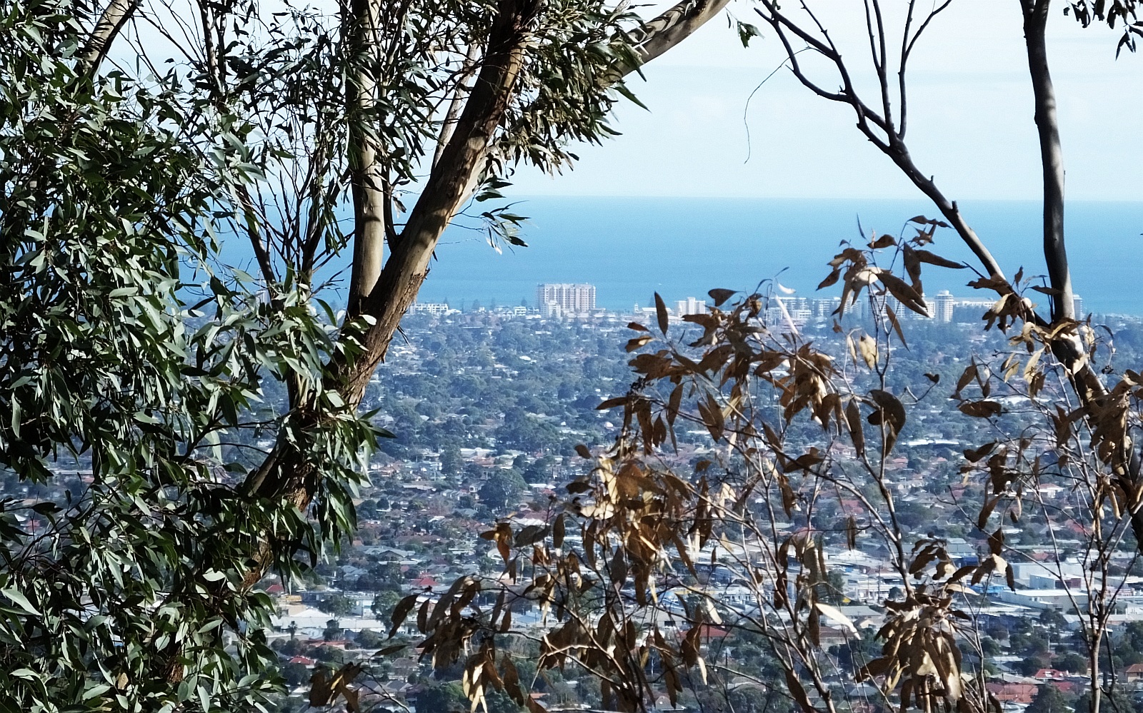 Meander to the Max: Mount Lofty Summit and Windy Point: best Adelaide ...