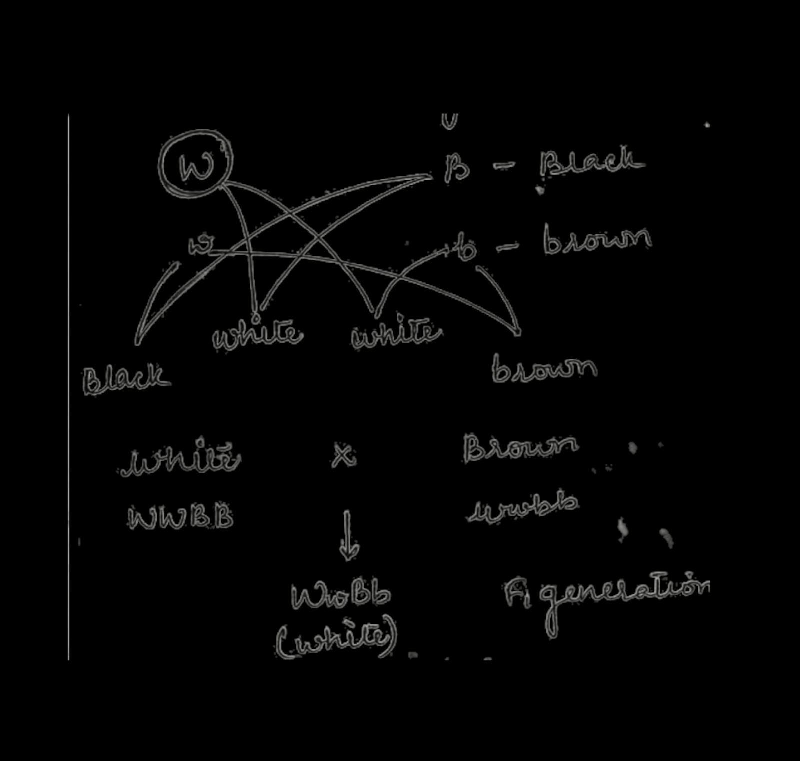 NON-ALLELIC GENE INTERACTION ,Epistasis