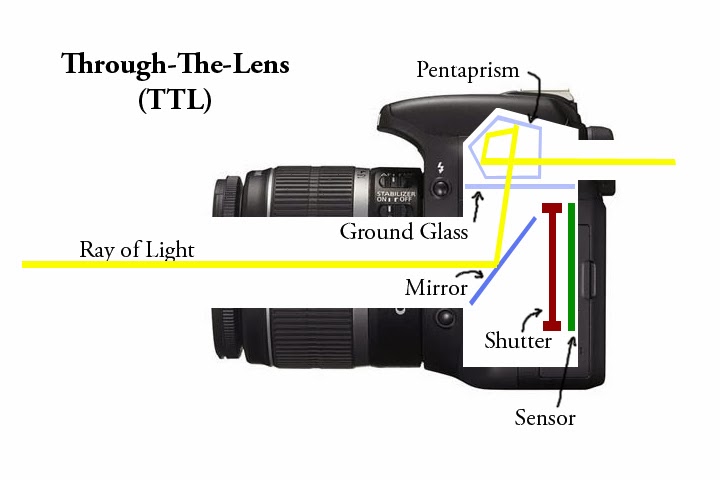 Cameras - Mirrored vs. Mirrorless