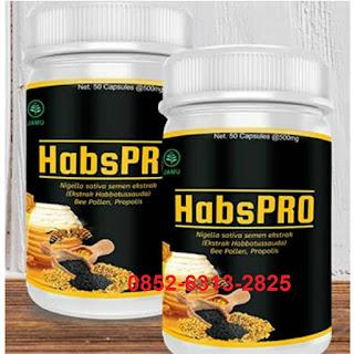 HABSPRO SUPER PROPOLIS - WA+62 852 6313 2825, Produk Eco Racing Sinergy ...