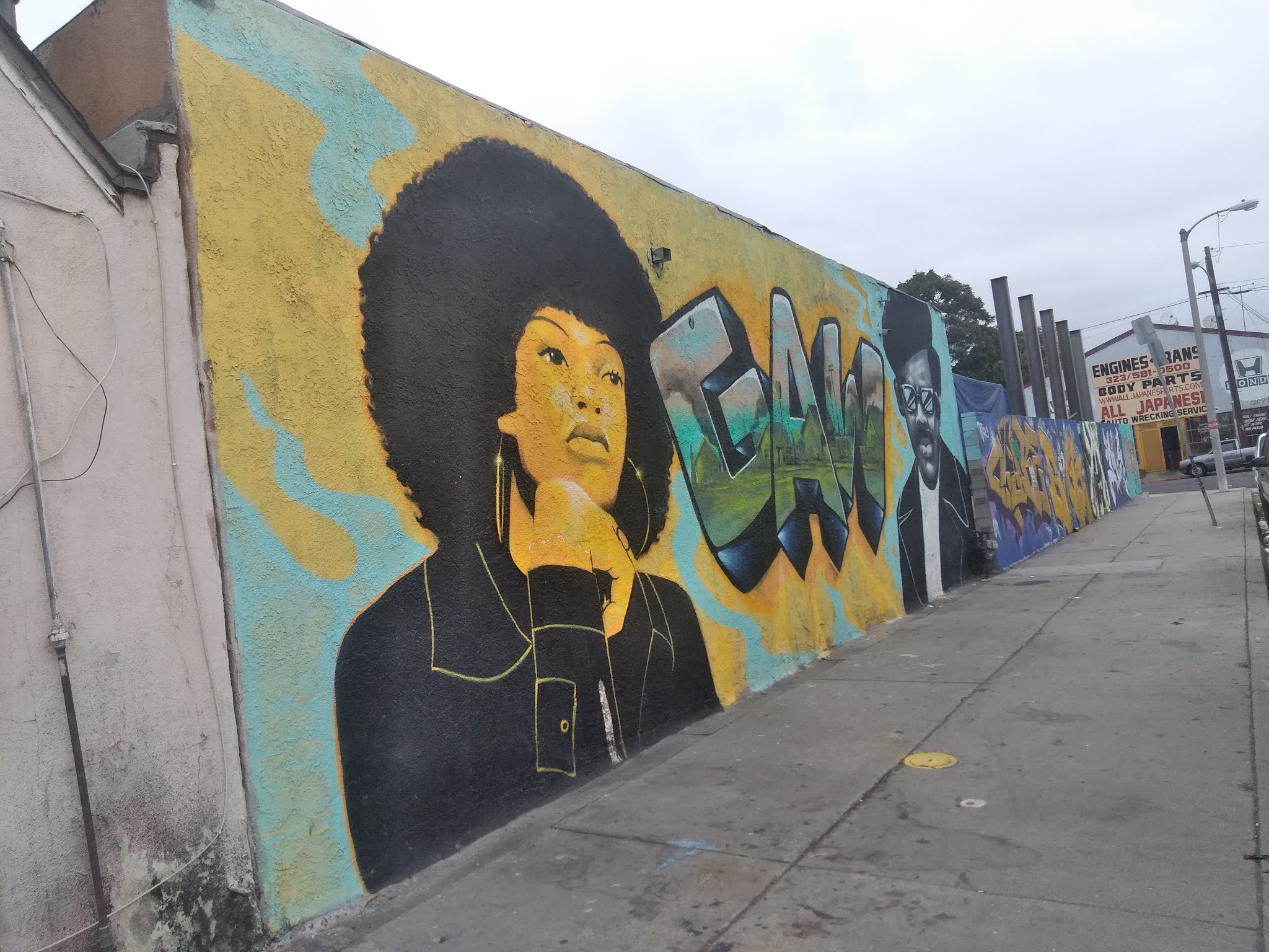 graffiti , murals & tagging : Florence Graham ( street murals )