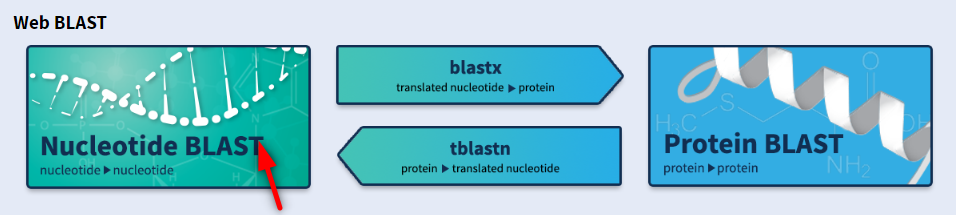Protein conversion into gene & NCBI BLAST on it - TechSci