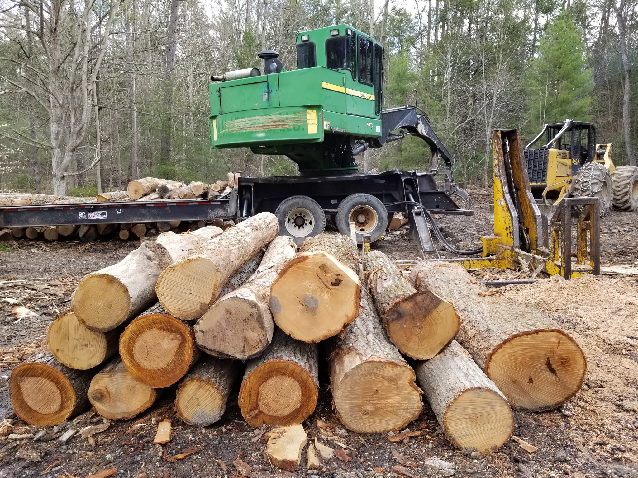 Central Pennsylvania Forestry: 2021