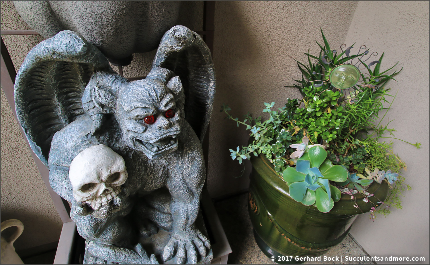 Mariel's garden: succulents, gargoyles, pottery, together with a bottle ...