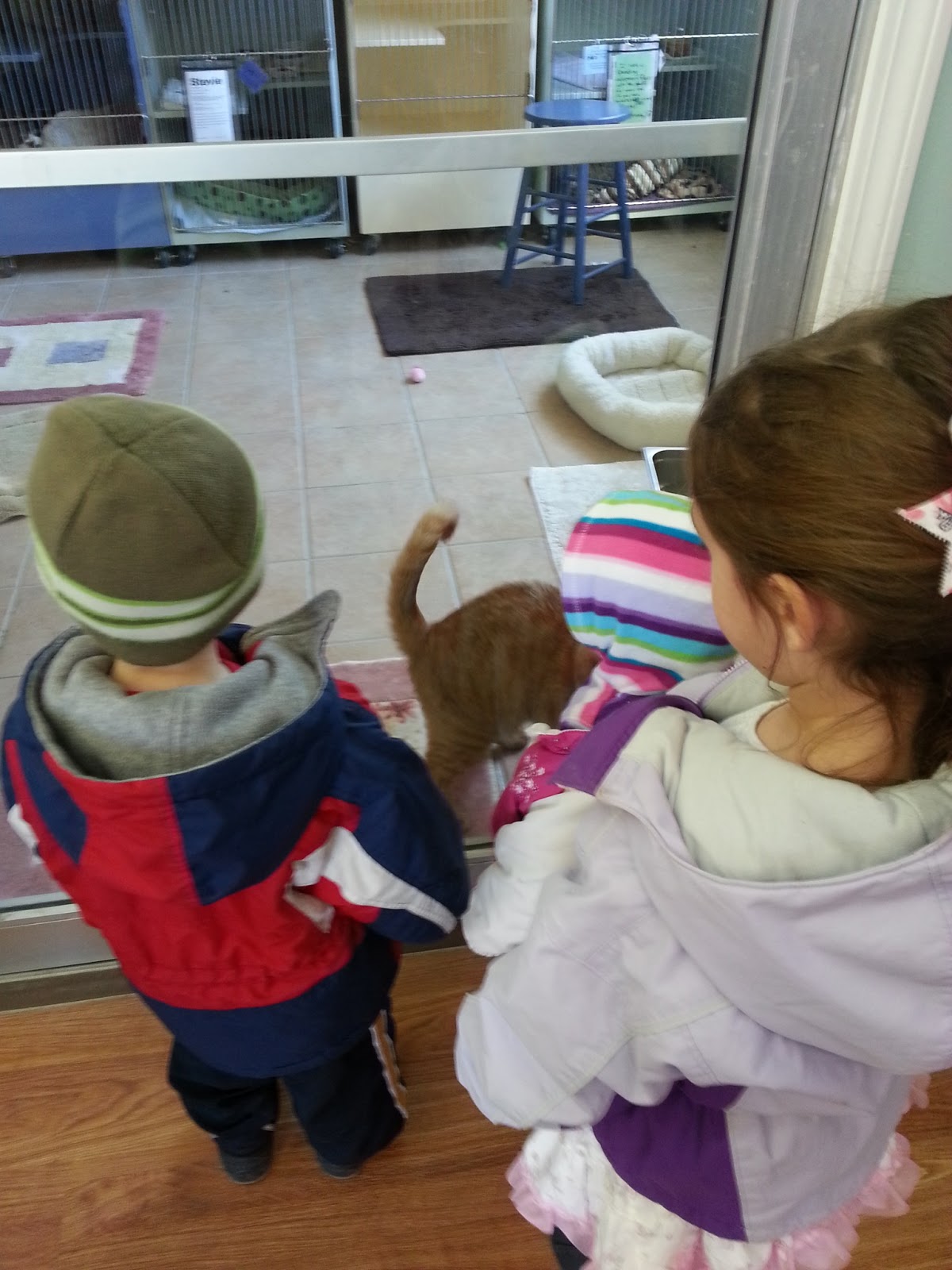 Love Life Laugh Learn: Papa Piccolo