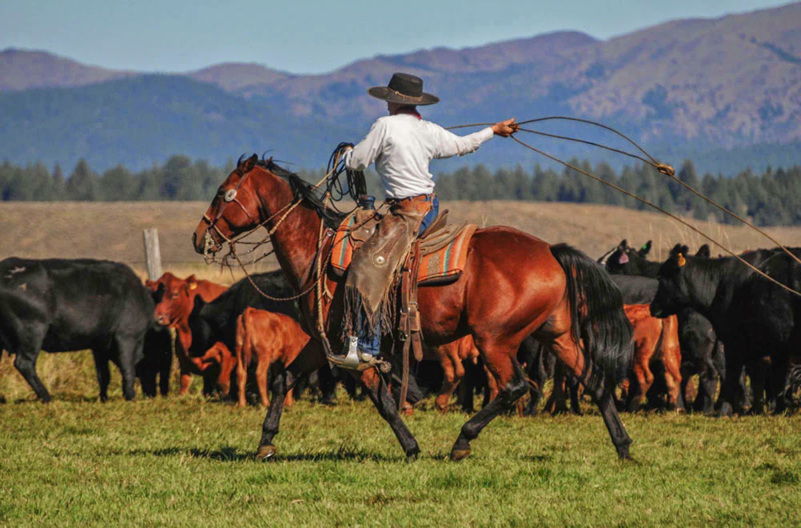 Top 10 Photos Buckaroo Country ~ Laugh Like We Are Having Fun