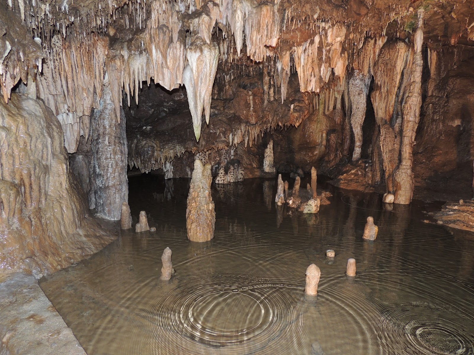 World Bird Sanctuary: 365 Photo Project Year 2