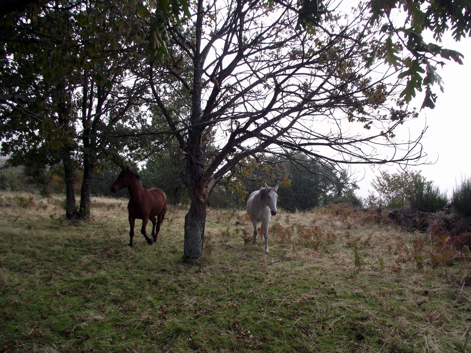 Qué visitar en el Valle de Ambroz - Vero4Travel