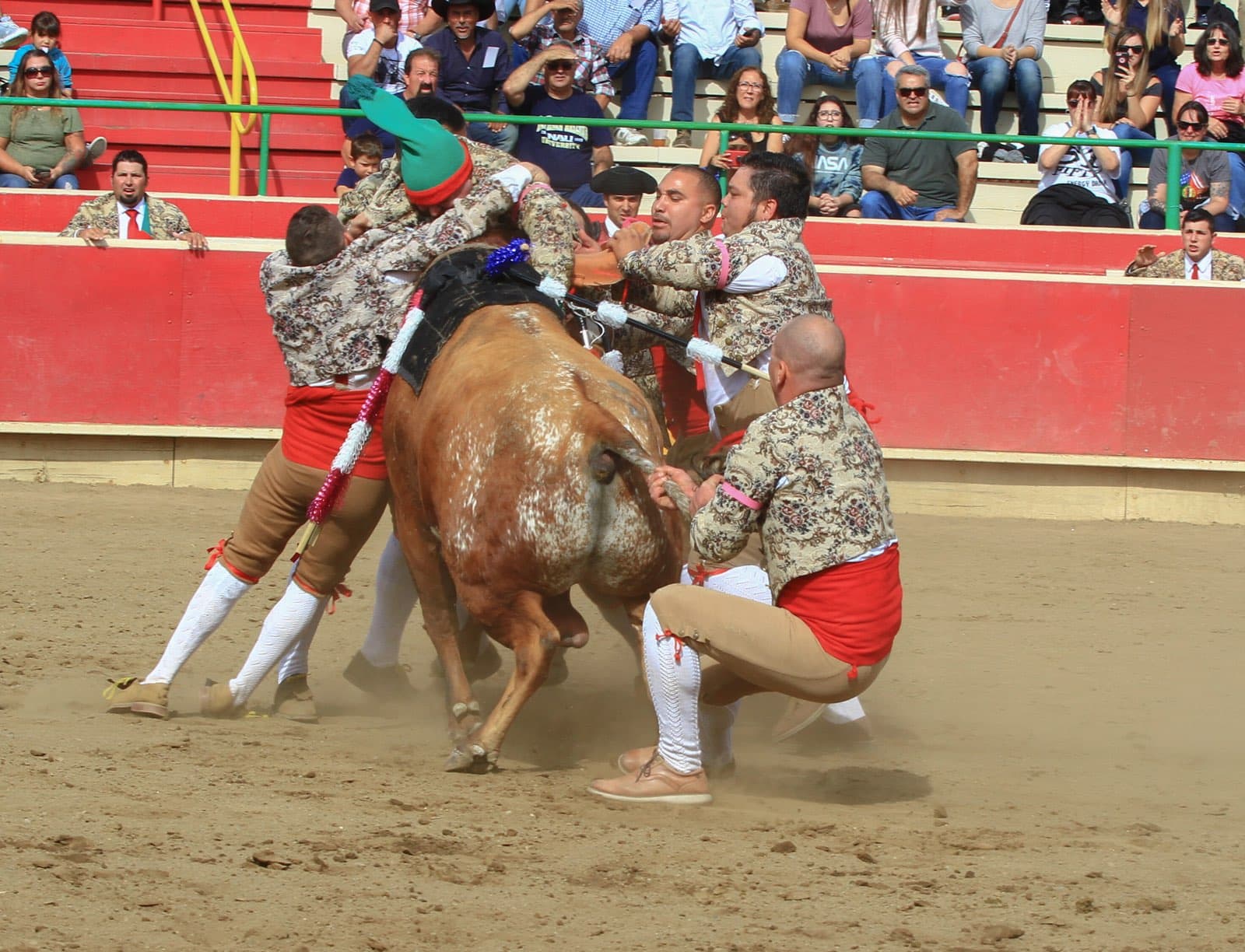Farpas Blogue: Tony Machado disse adeus às arenas após 29 anos a honrar ...