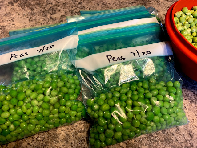 This’N’That Family Farm: Garden Living; Peas In a Pod