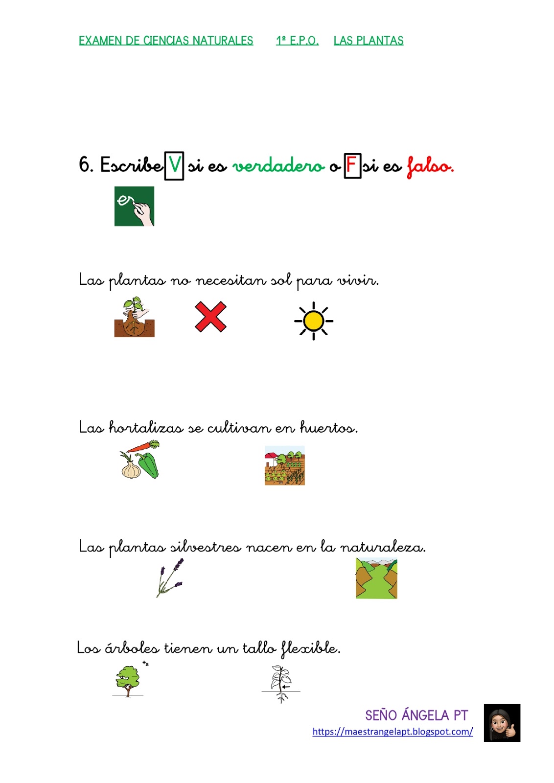 Seño Ángela PT: EXAMEN LAS PLANTAS 1º EPO