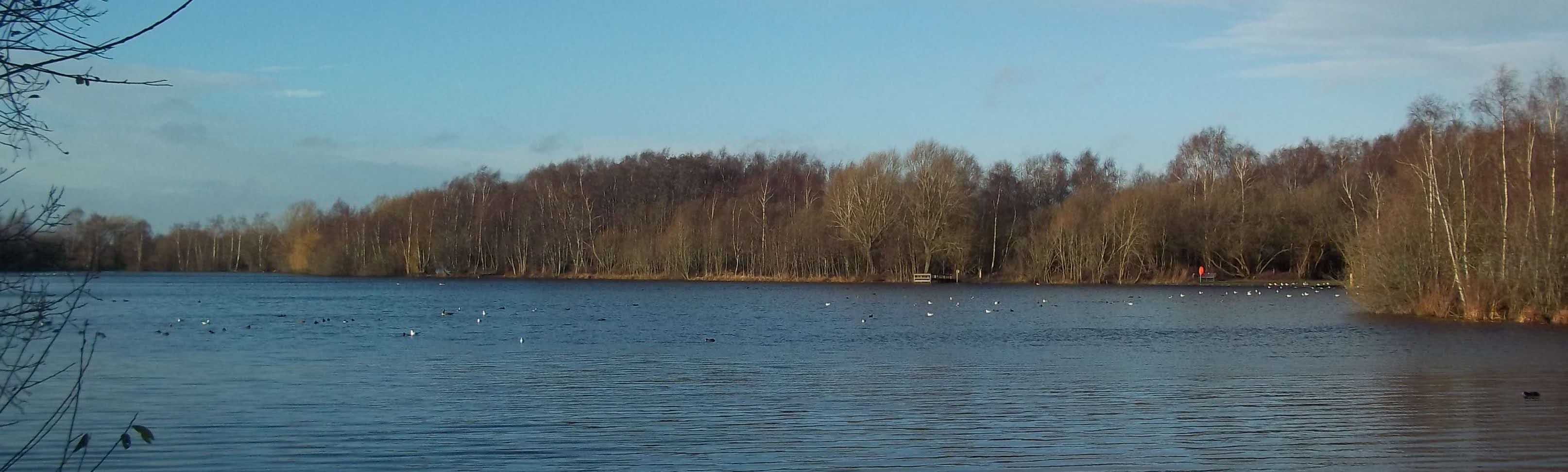 Walking The Peak: Ranskill, Daneshill Lakes, Idle Valley Nature Reserve ...