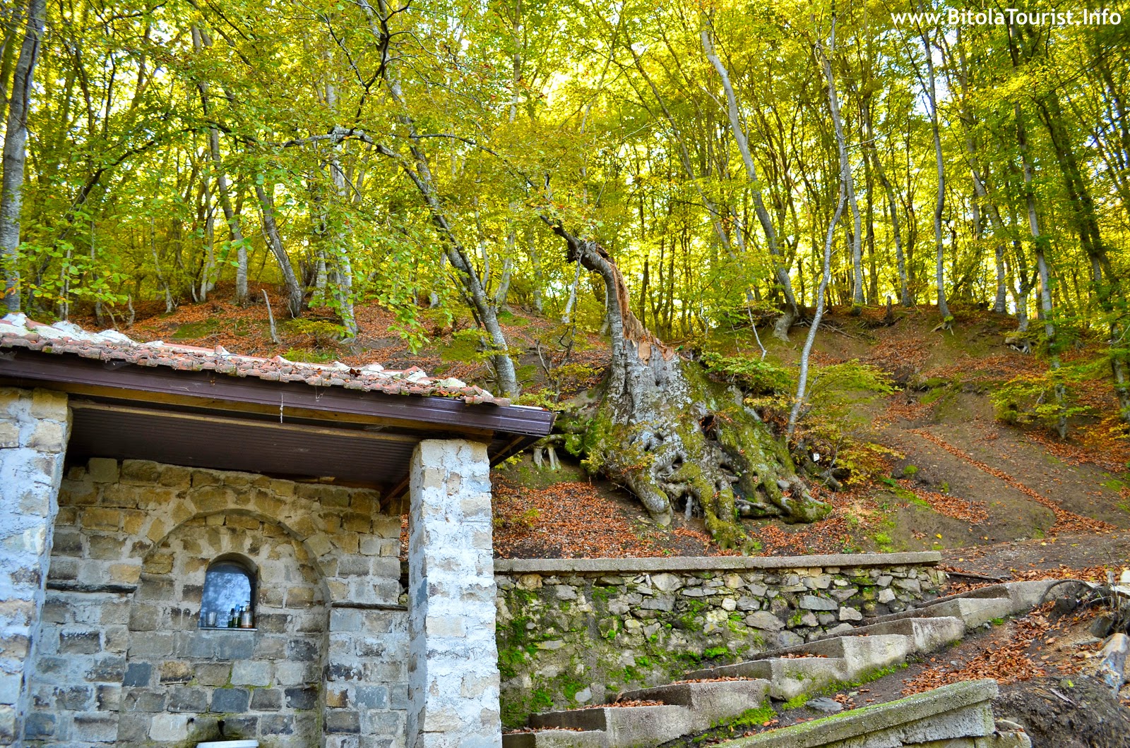Bukovo village near Bitola - Photo Gallery - Macedonia Postcards