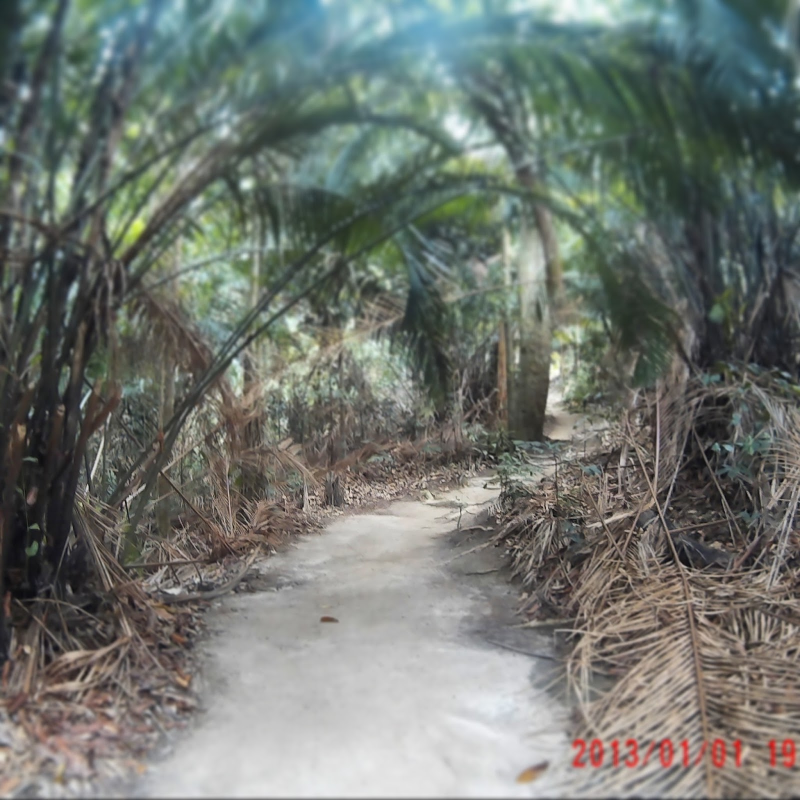Air Terjun Sungai Putih Bukit Saga / Saga Hill