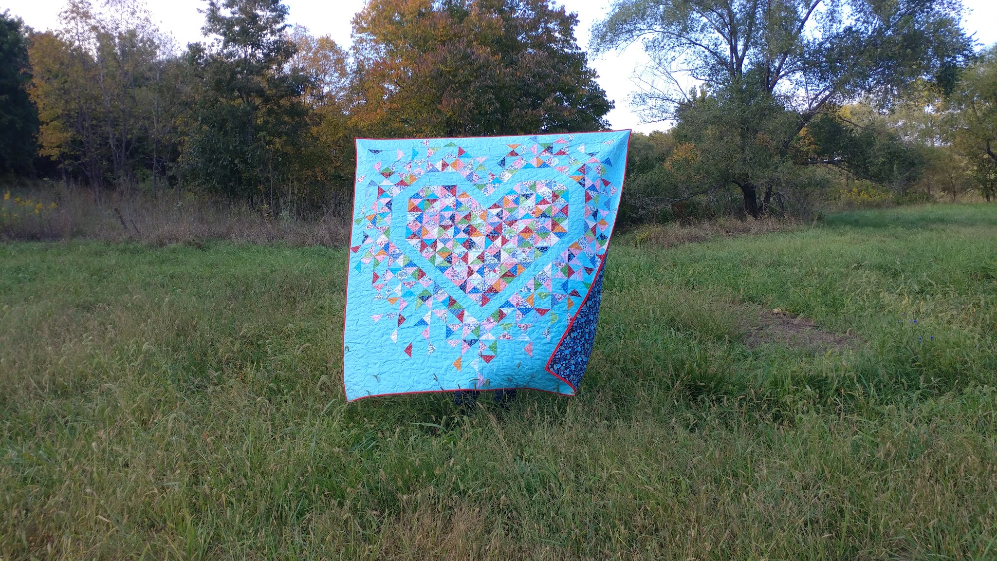 Slice of Pi Quilts: Morrison Park - Exploding Heart
