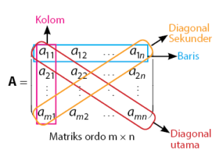 Pengertian dan Jenis-jenis Matriks ~ Ilmu Komputer Zakaria