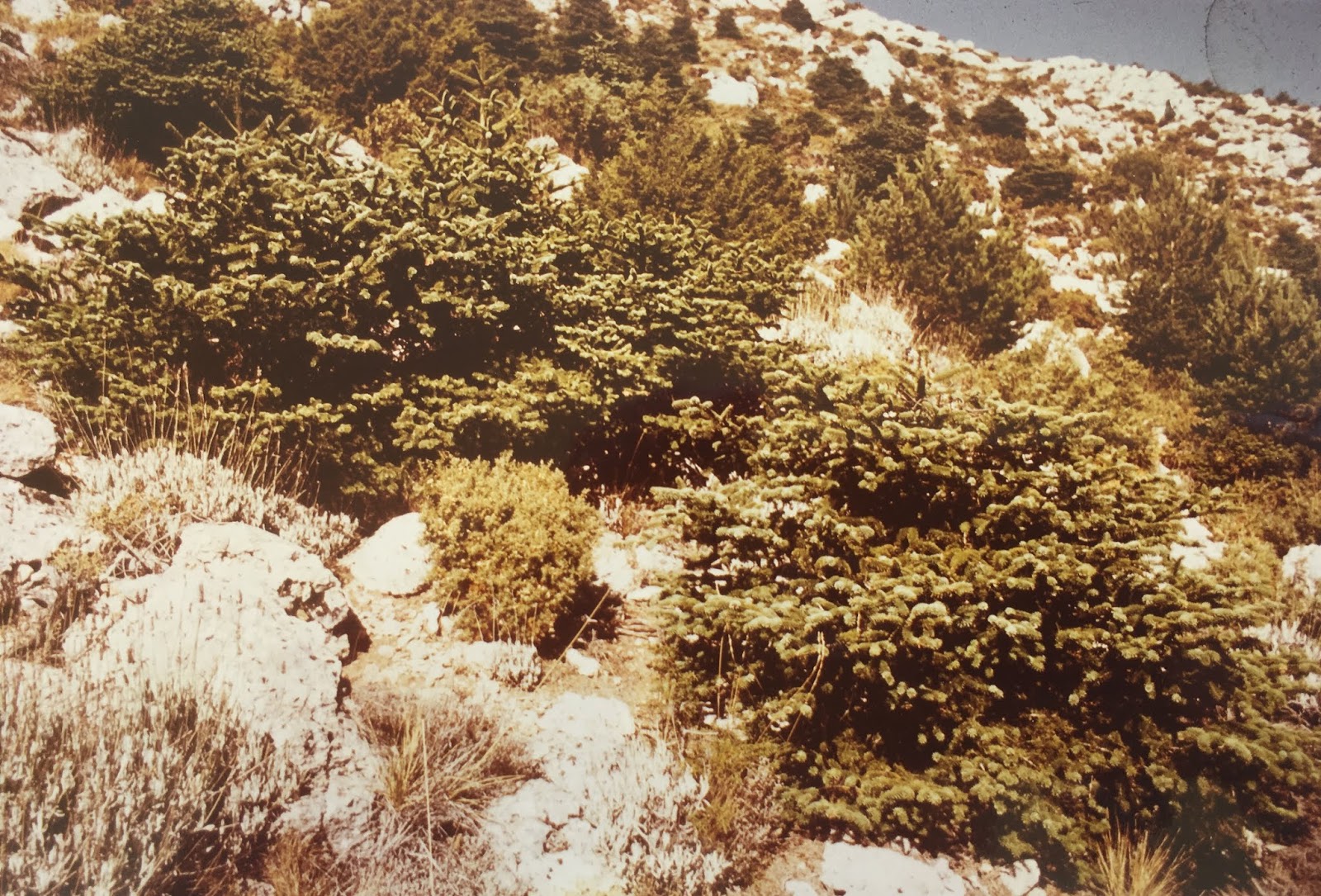 Áreadoc: Visita del fotógrafo checo Rudolf Janda en el verano de 1983