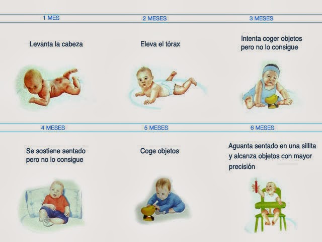 Conociendo el Desarrollo Psicomotor de nuestros niños