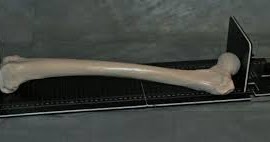 Do you know What is Hepburn Osteometric Board??