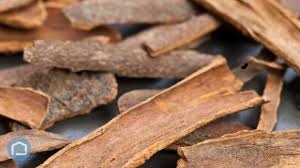 Mauby Bark Well Being Advantages