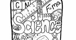 Grade 6 Science - English Medium
