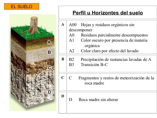 TALLER EL SUELO Y SU ESTRUCTURA - TU GUÍA DE APRENDIZAJE