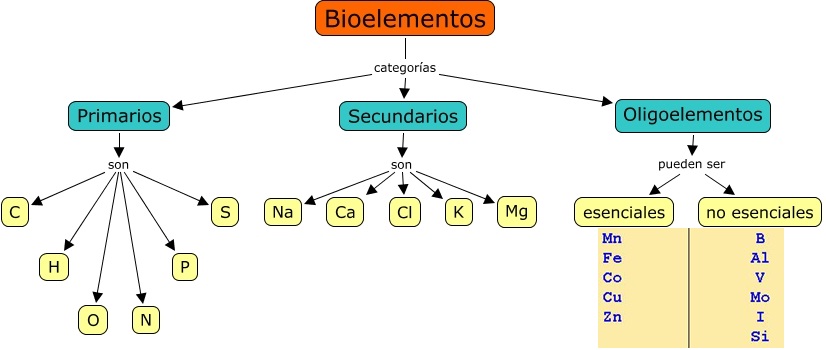 BIOLOGÍA GENERAL: Constituyentes químicos de los seres vivos