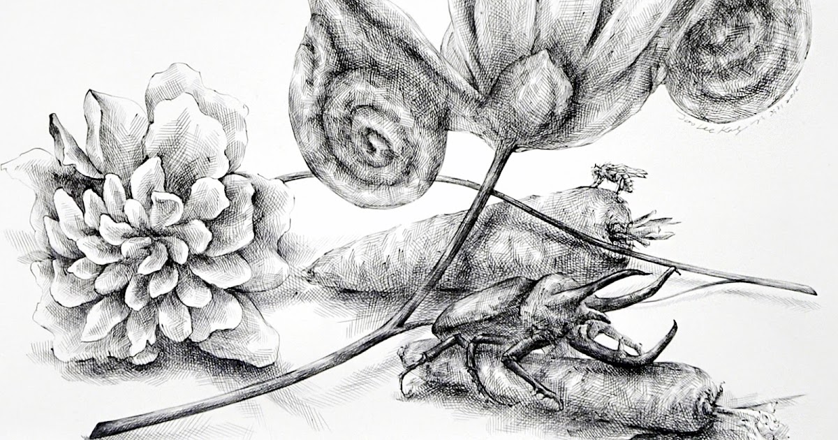 Still Life with Insects #11, #12, ballpoint pen on paper, 17 x 18" / 43 ...