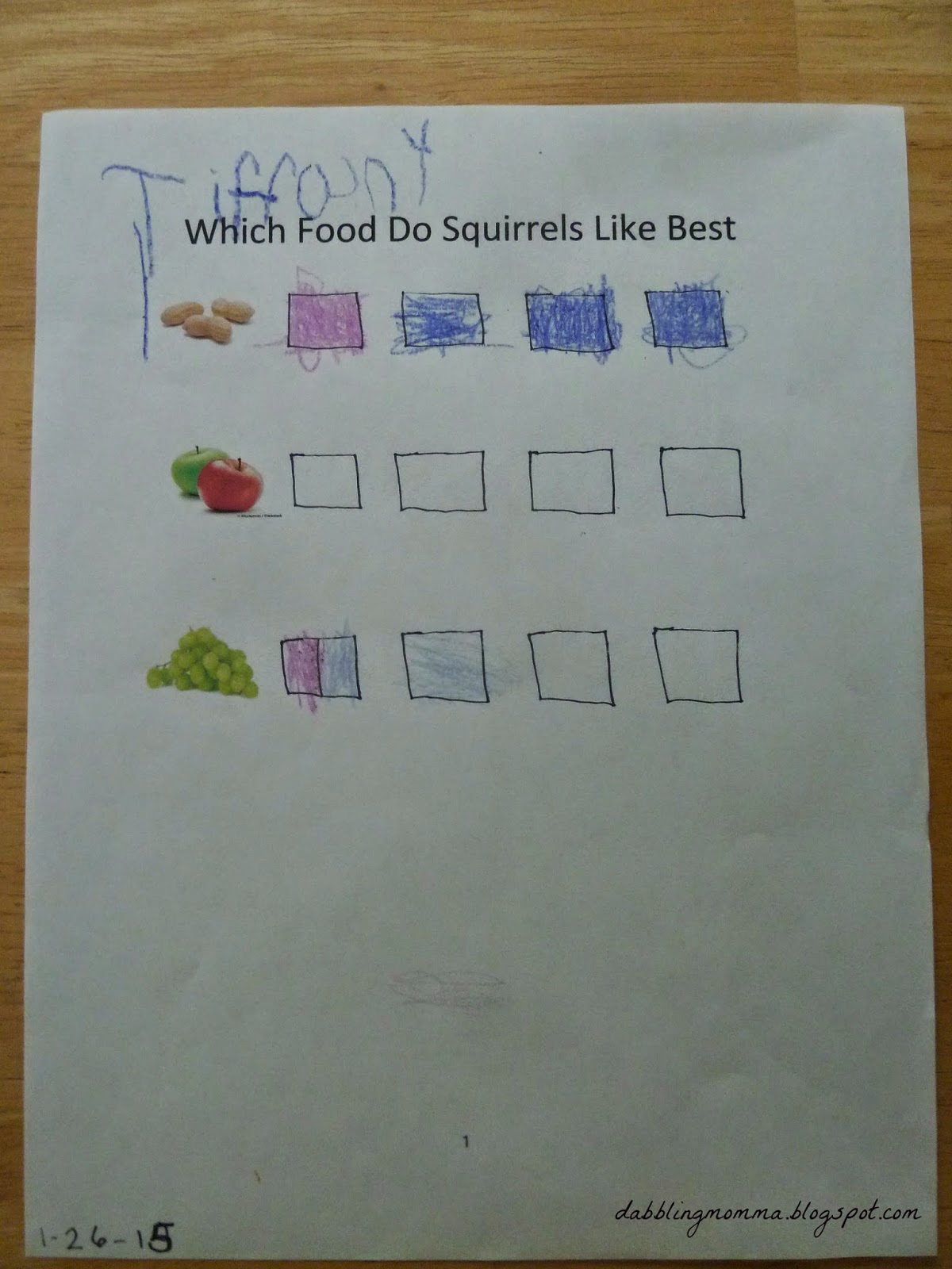 Dabblingmomma: The Secret Life of Squirrels Book and Activities