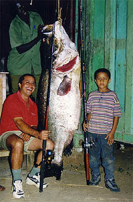 Nile Perch Fish
