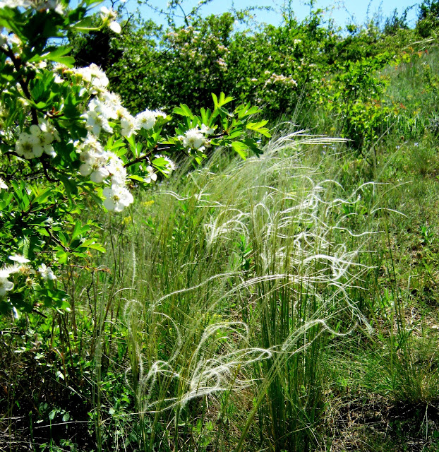 Country inside: Comorile ascunse ale Dobrogei ~ part. VI ~ Valea ...