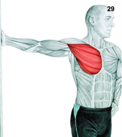 Wall assisted chest stretch