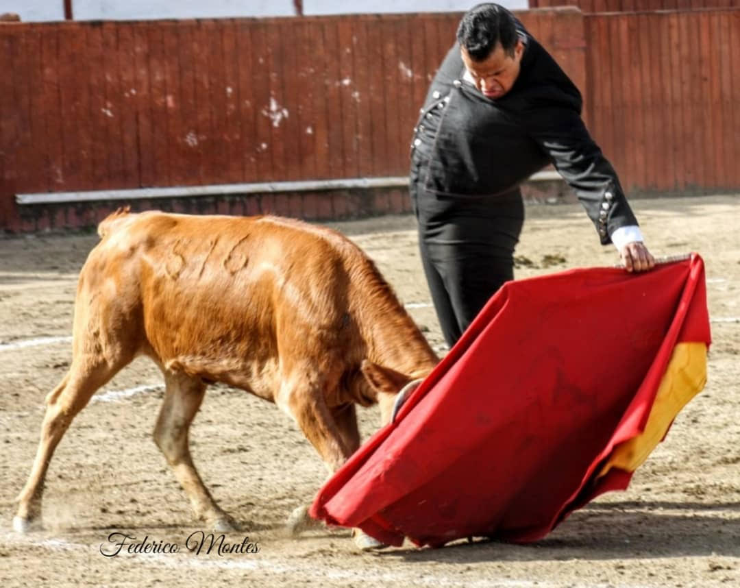 Del toro al infinito: VENEZUELA. AFICIONADOS PRÁCTICOS LE RINDEN UN ...