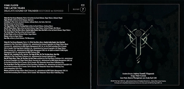 Pink Floyd Ilustrado Delicate Sound Of Thunder Restored And Remixed 2019