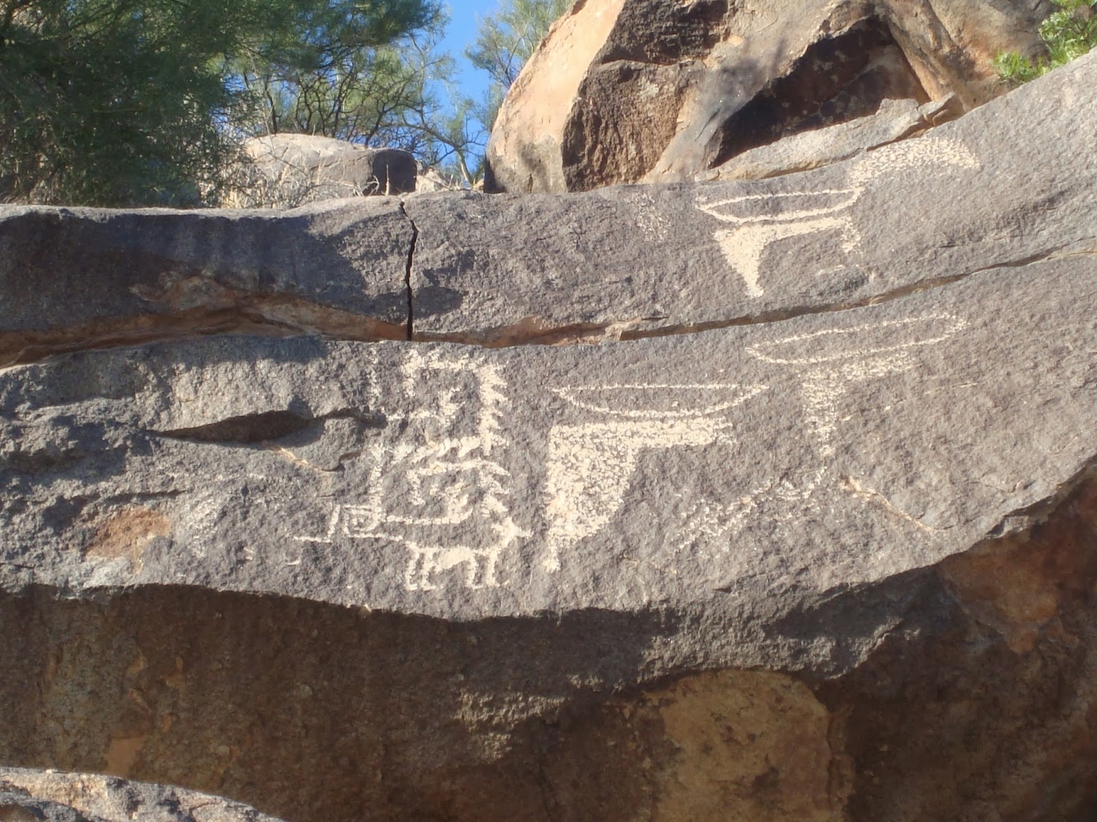 Ecoturismo Caborca : H. Caborca Tesoro de Sonora