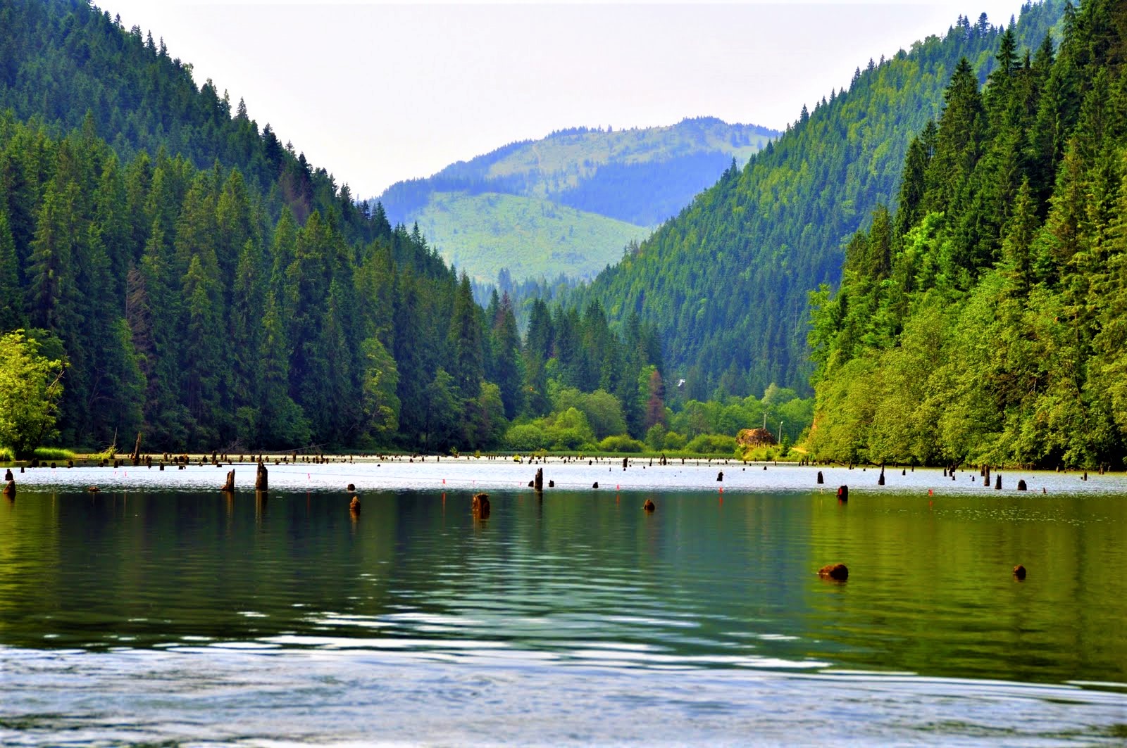 Traseu 18: Toplita - Lacul Rosu - Chei Bicaz - Baraj Bicaz - Rezervatia ...