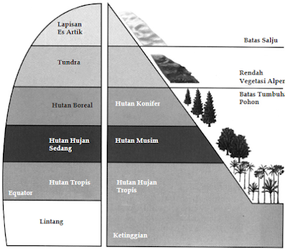Biosfer : Pengertian, Lapisan, Faktor Lingkungan, dan Contoh, Lengkap dengan Gambar | Blog Geografi