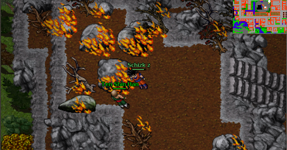 Dragon Ball Z Quilante: Kikoho