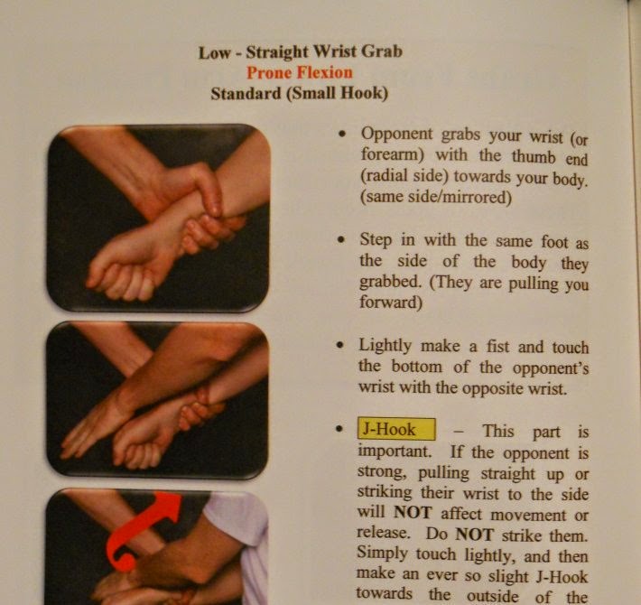 Tuite Jutsu (Personal training/teaching methodologies in Te): The 6 ...