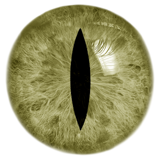 EYES TRANSPARENT PNG HD FOR EDITING | FREE DOWNLOAD