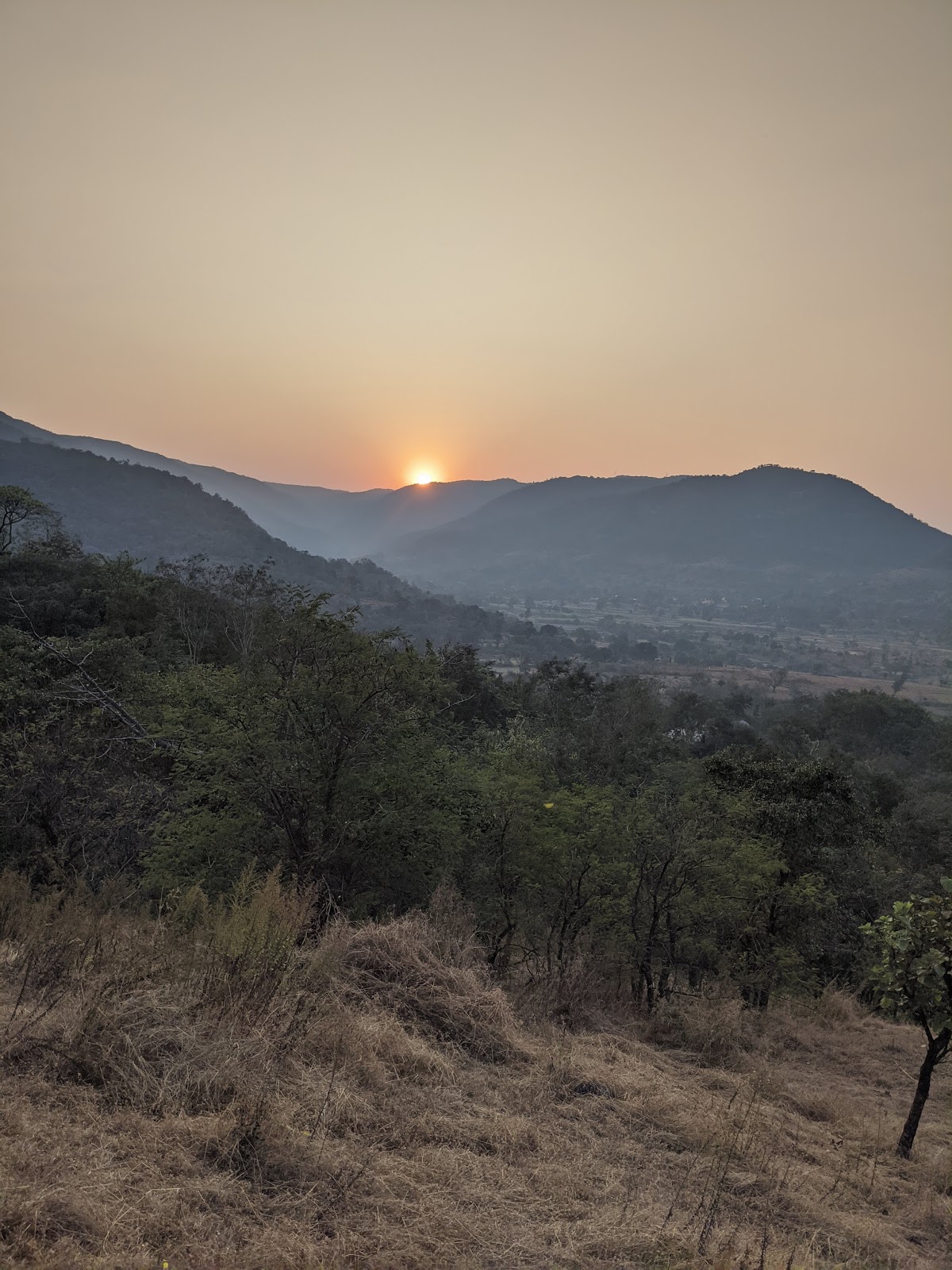 The Ananda Pune Meditation Retreat--a journey to the peaceful ...