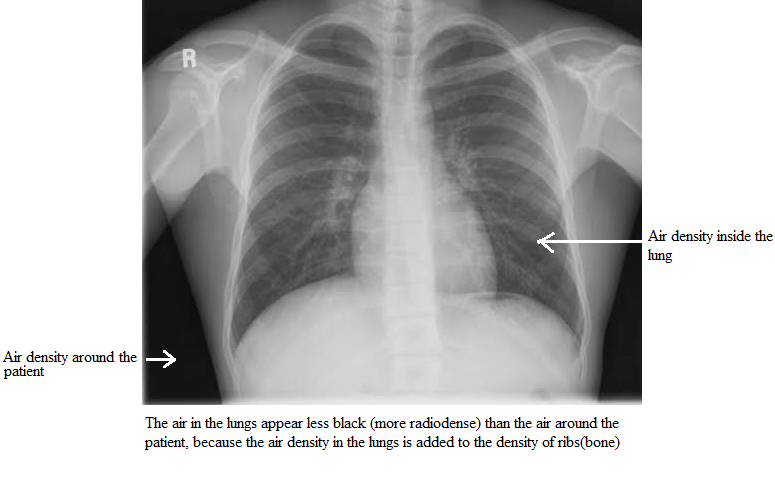 Radiology | An Introduction